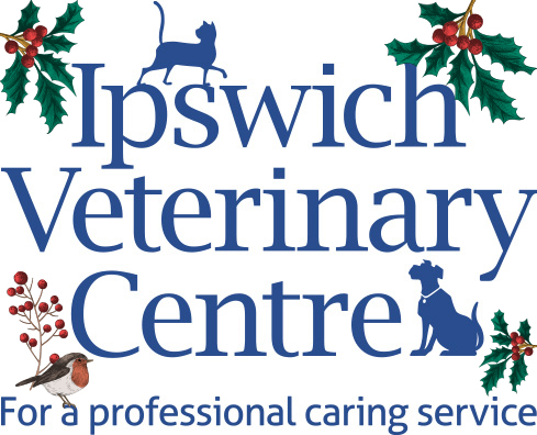 Home - Ipswich Veterinary Centre